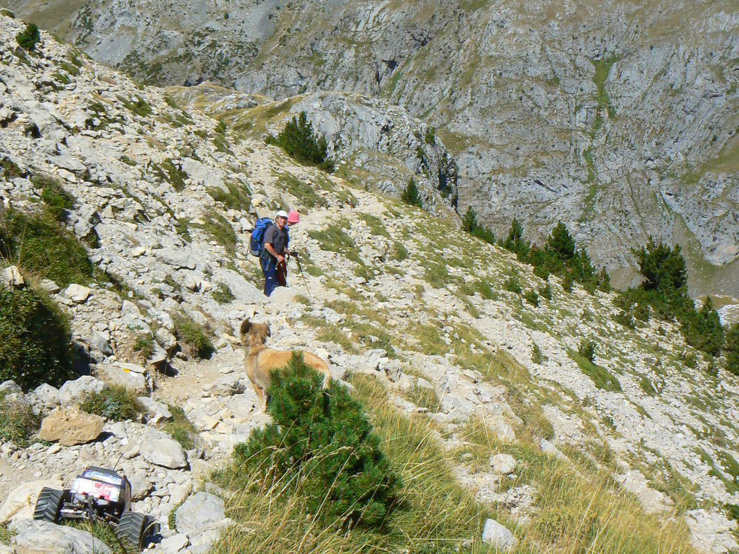 FCBK 106 037 — Postimages