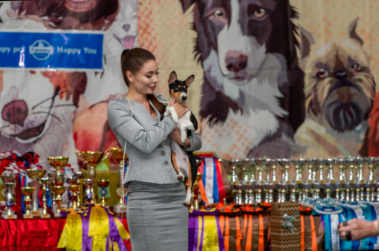 30 1183 — Postimages