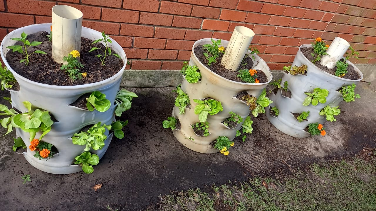 Vertical Drum Farming - Limited space, here's a solution ...