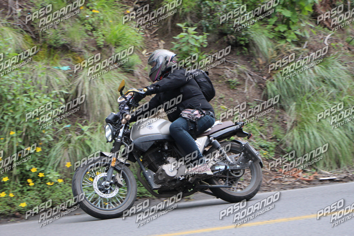 IMG 1347 wm 1543273 0999999999 watermarked — Postimages