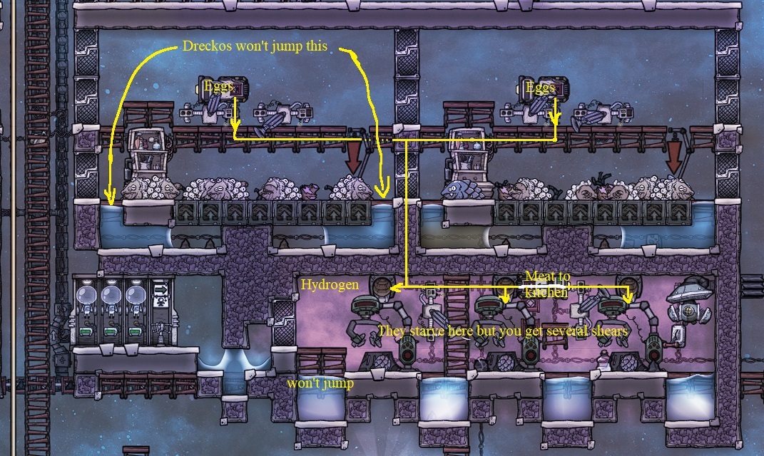 Made my first successful drecko ranch! Also cycle 56 base, any tips? I ...