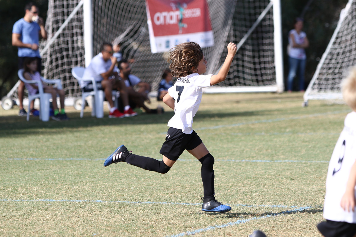 VIK 7339 — Postimages