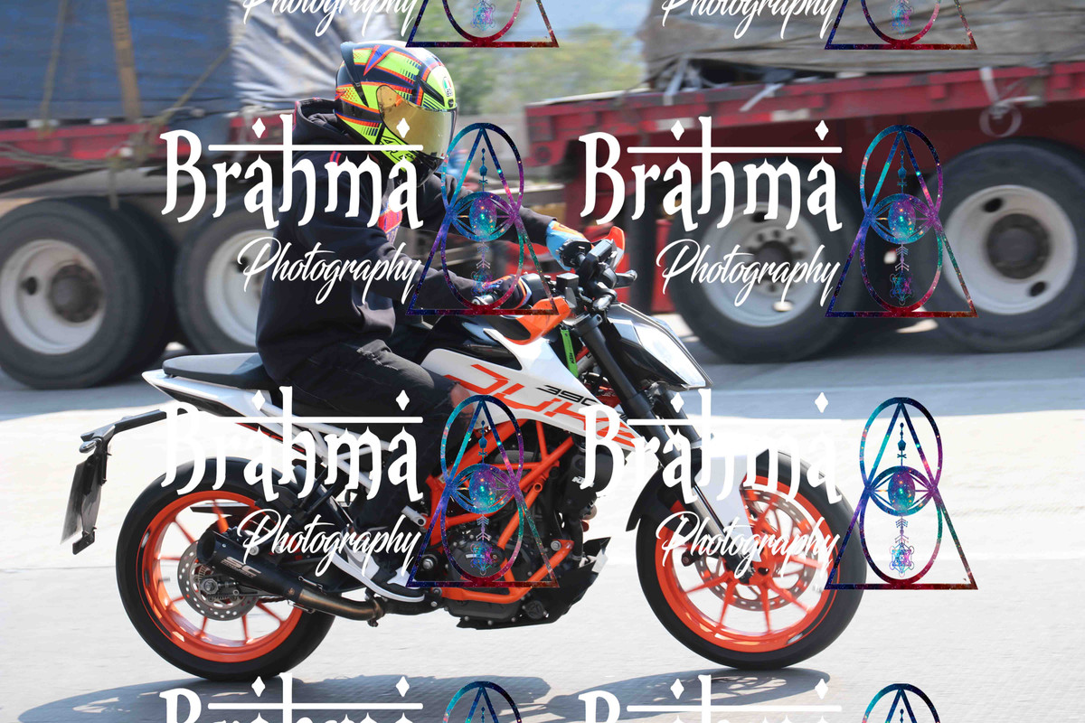 IMG 2429 — Postimages