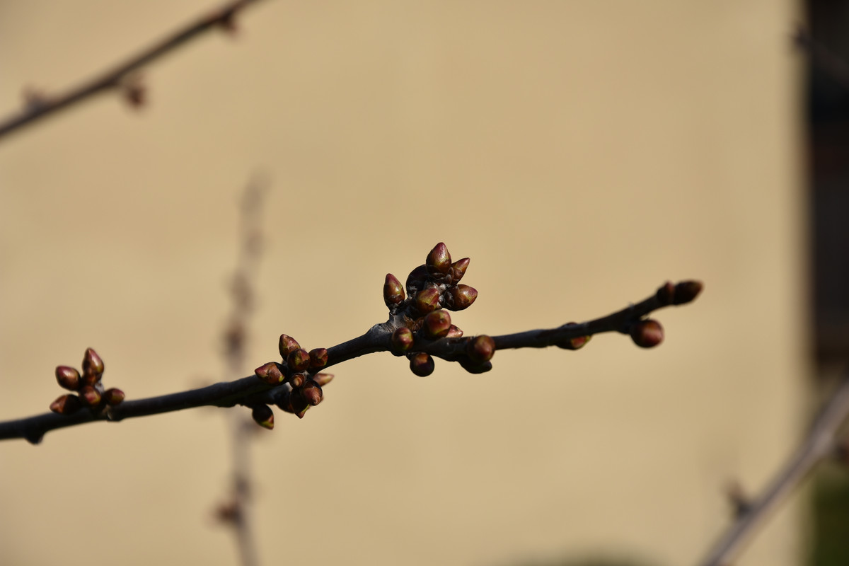 DSC 0249 — Postimages