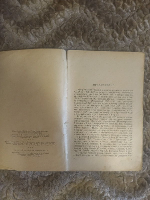 IMG 20250412 161211 — Postimages