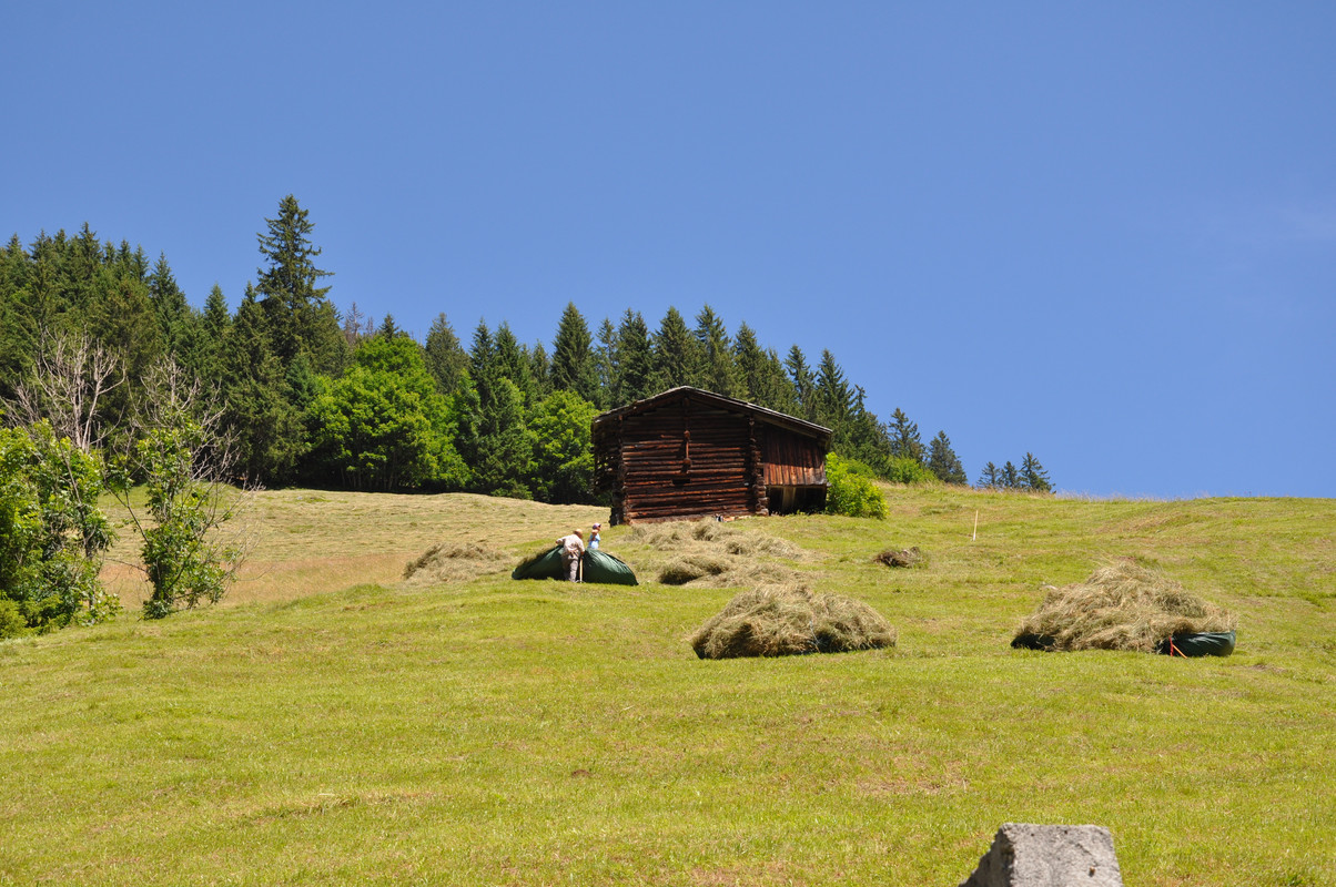 DSC 0228 — Postimages