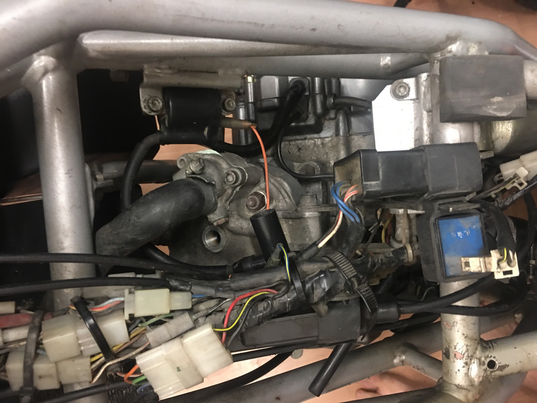 IMG 5404 — Postimages