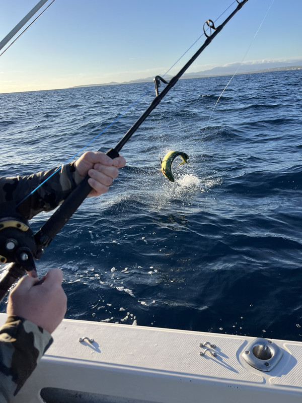 IMG 7135 — Postimages