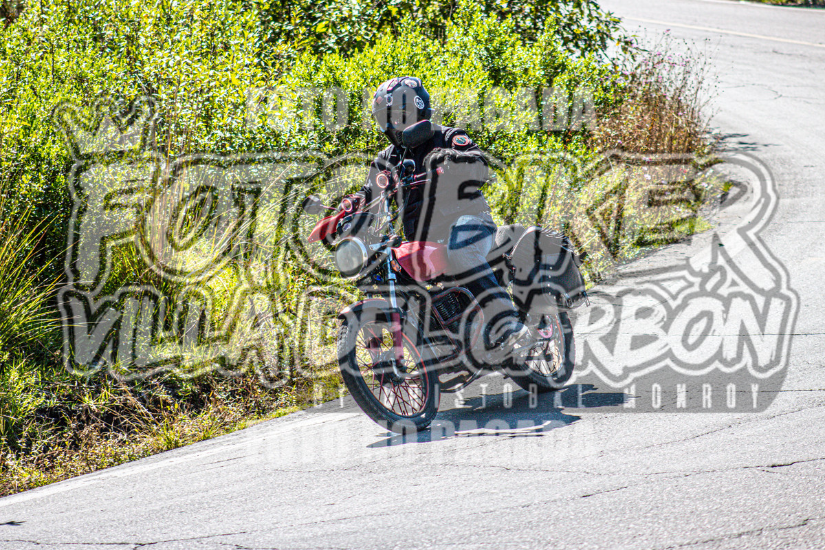 CV 111 — Postimages