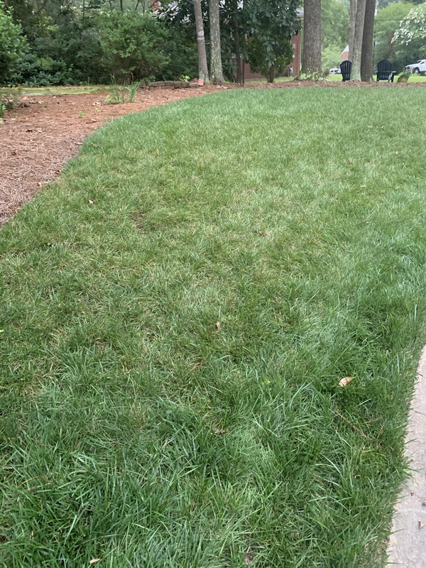 FC319 F5 D 5 B20 4090 967 D CE6 E8 E516 BA9 — Postimages