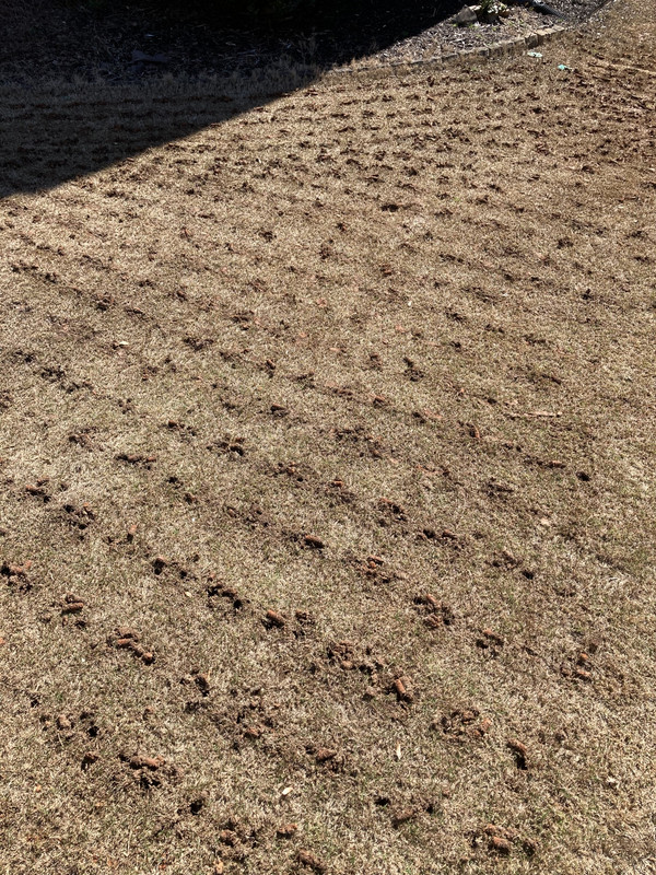 611 CC839 389 A 4 BF4 BE46 5519573 E927 F — Postimages