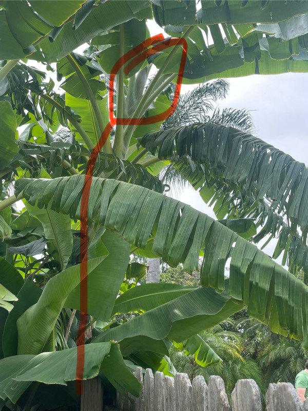 IMG 4475 — Postimages