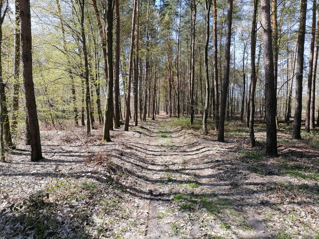 IMG 20250413 134505 — Postimages