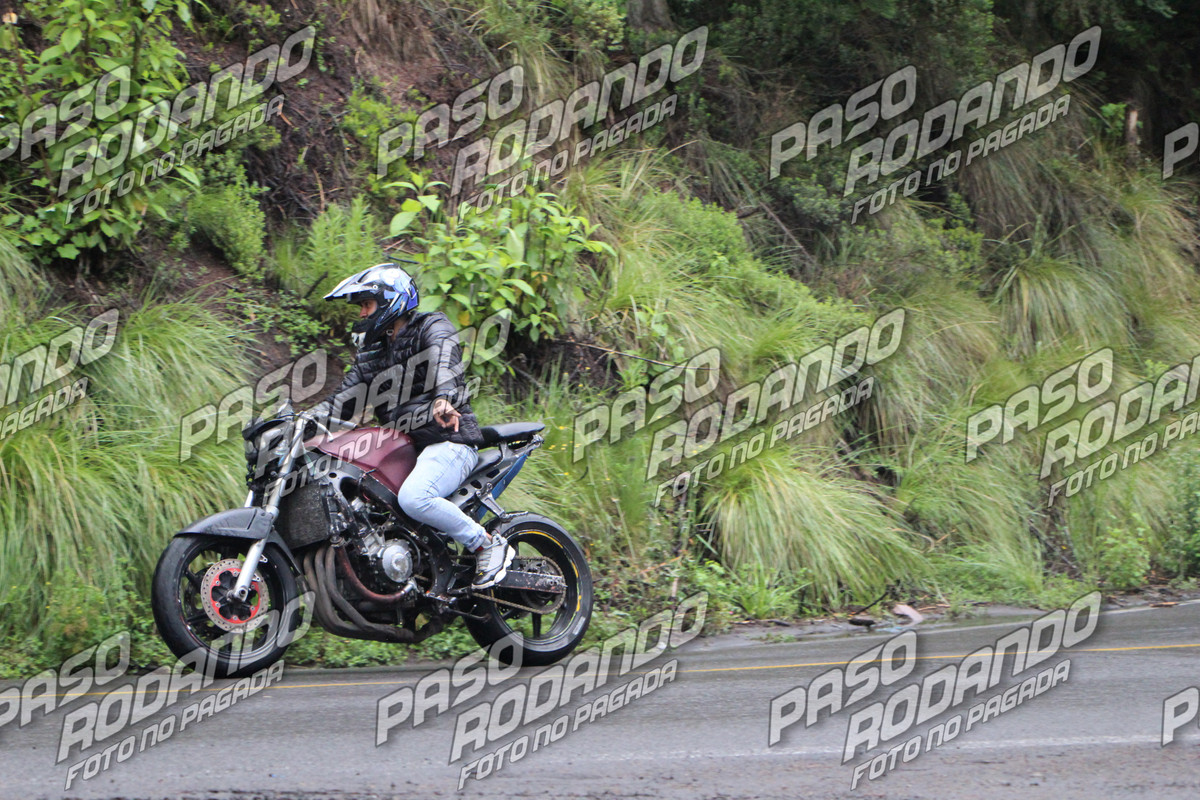 IMG 6301 wm 156876 watermarked — Postimages