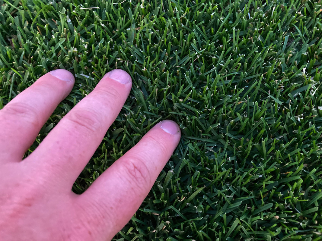 2 A6 E923 B BFED 4 C89 8065 7850 E2 C29 ED6 — Postimages