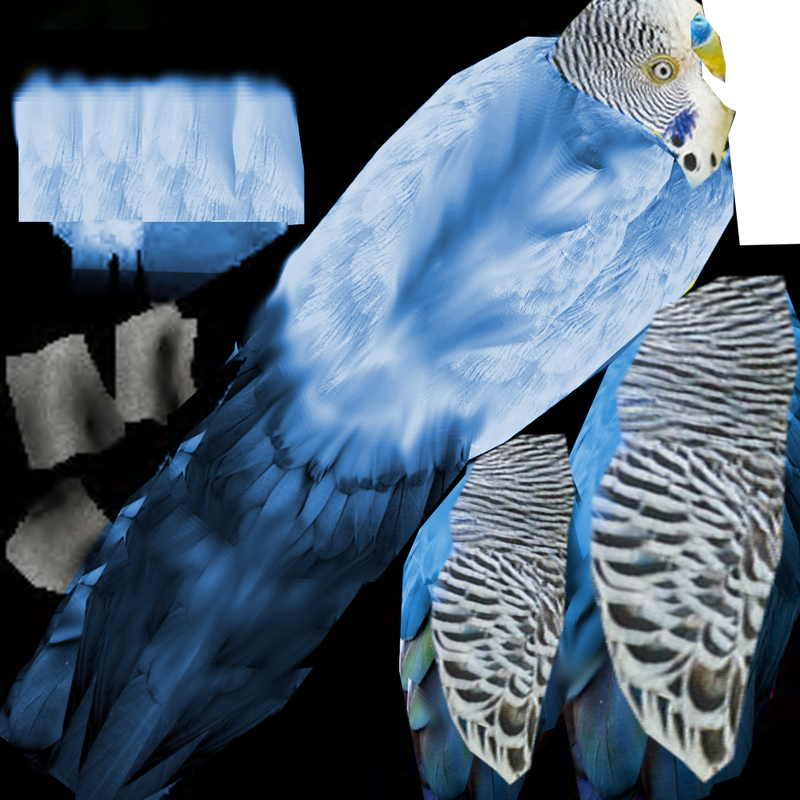 Parrot Green 01 — Postimages