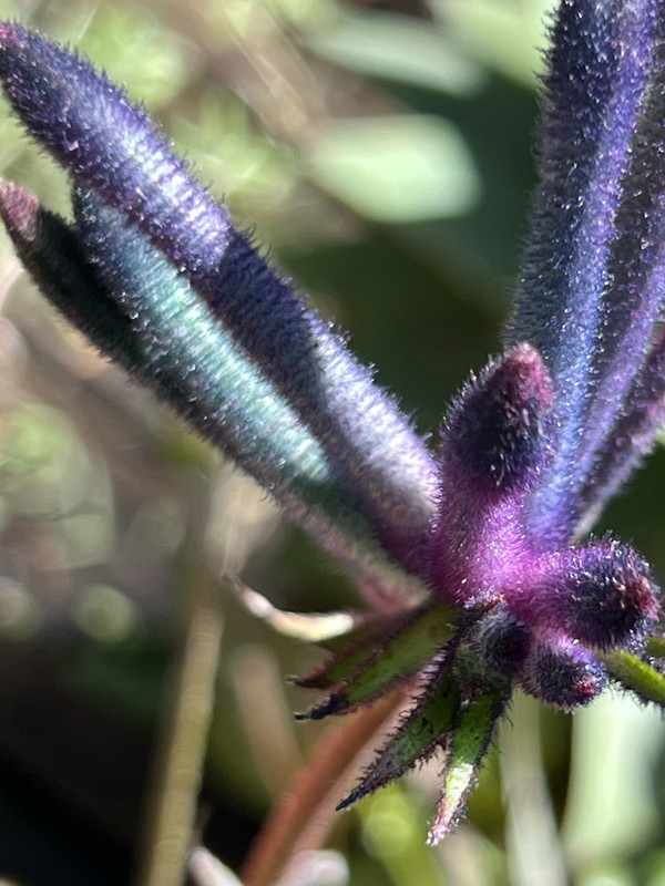 IMG 1485 — Postimages