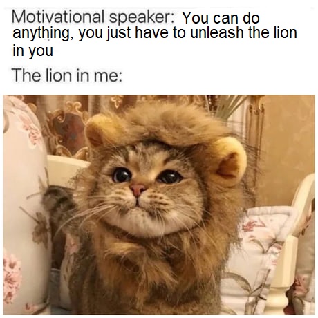 Pictomania: Memes, Screenshots, Internet Pics, GIFs - Page 228 - Off ...