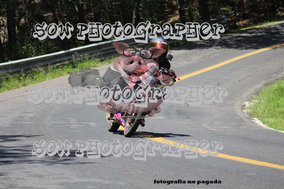 Img 8532 — Postimages