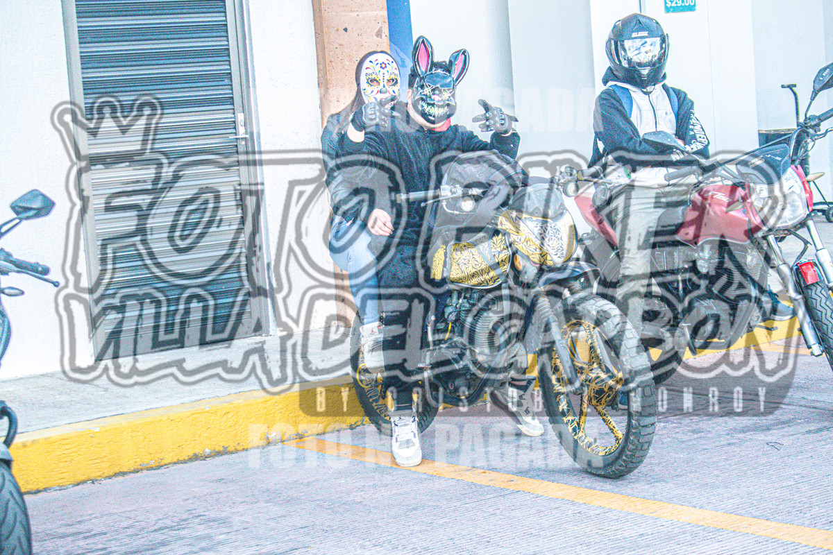 terror 104 — Postimages