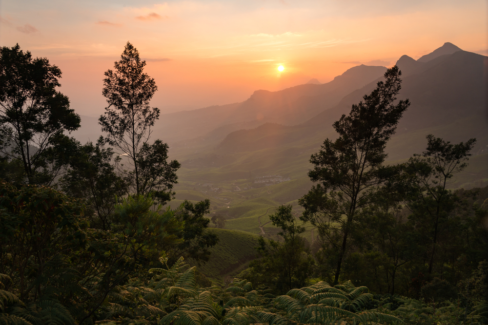Meesapulimala, Munnar: How To Reach, Best Time & Tips