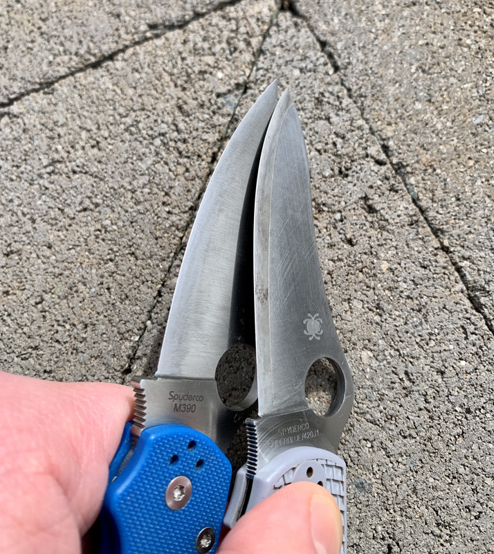 D2 FCC1 F3 5 D9 D 405 F BCA9 099 CEC45 D3 B7 — Postimages