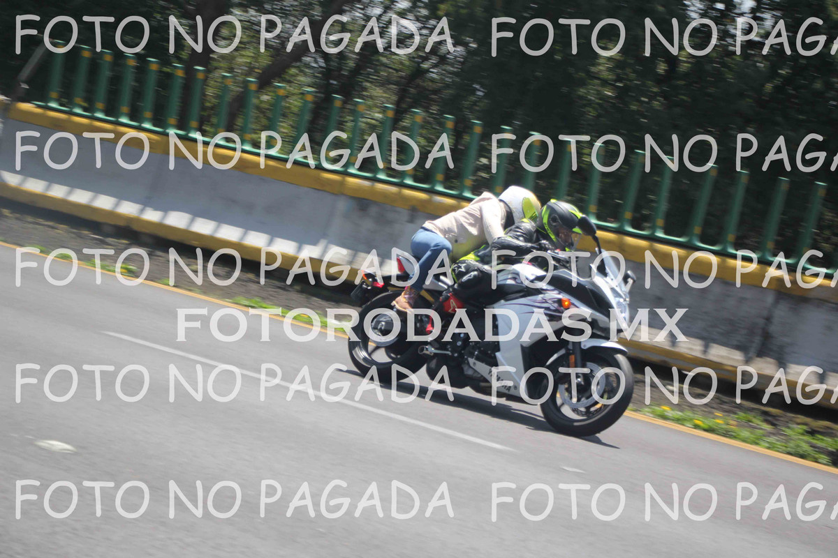 IMG 5118 — Postimages