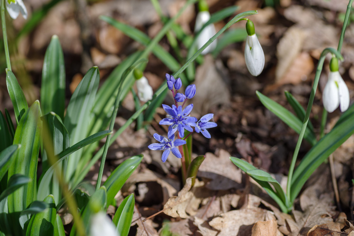 V0009912 1600 — Postimages