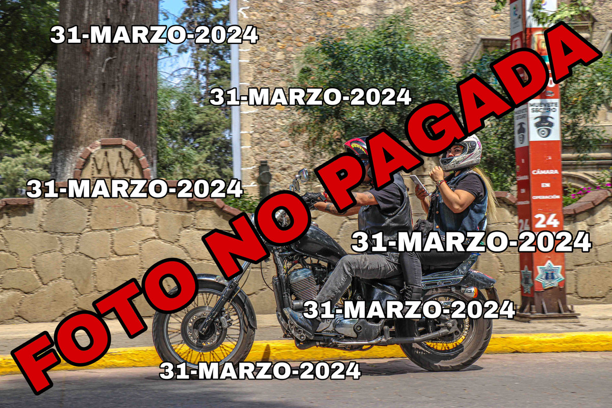 CV 1631 — Postimages