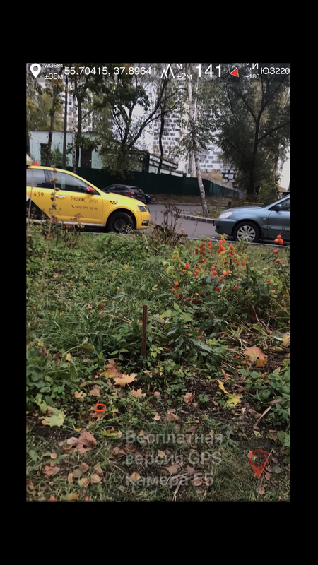 73521 BEE 1 E62 47 E3 851 C 557066 BAC252 — Postimages