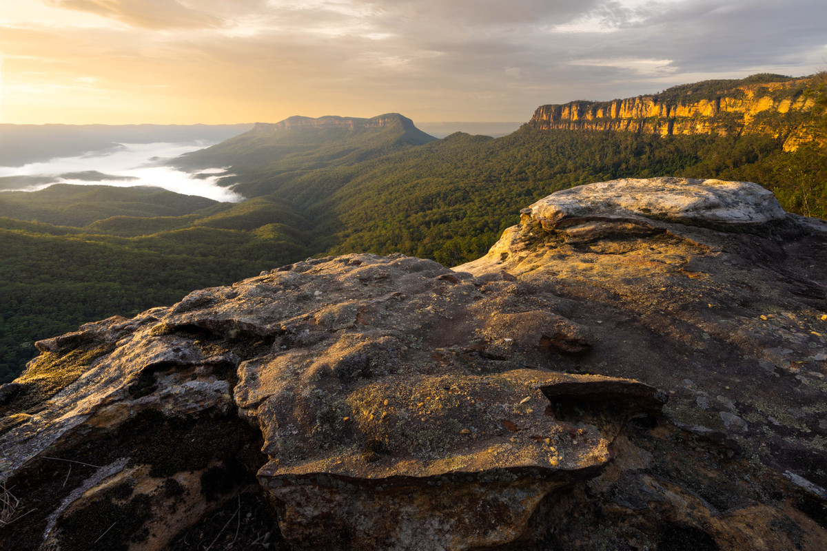 DSC04241 Edit 3 — Postimages