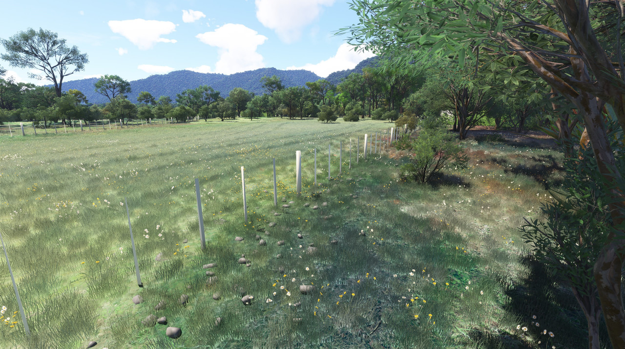 NZMJ Martins Bay grass Pebbles — Postimages