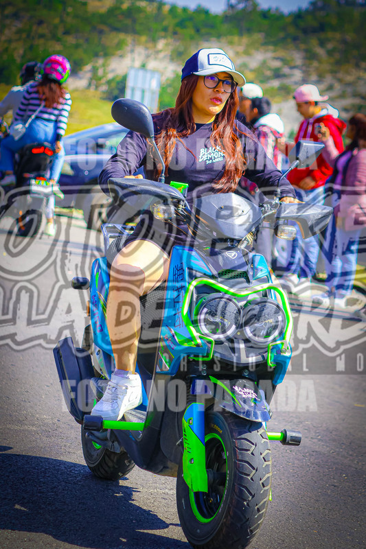 PL2 2004 — Postimages