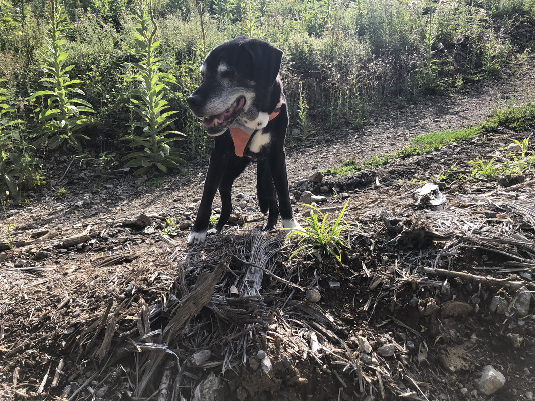 703 D1 C1 B 24 F6 4 B34 A67 C A310634 F382 F — Postimages