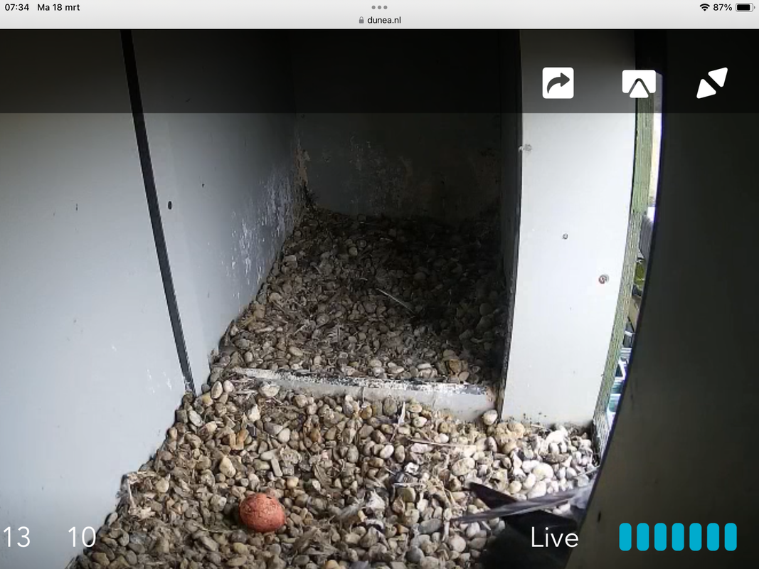 IMG 9836 — Postimages