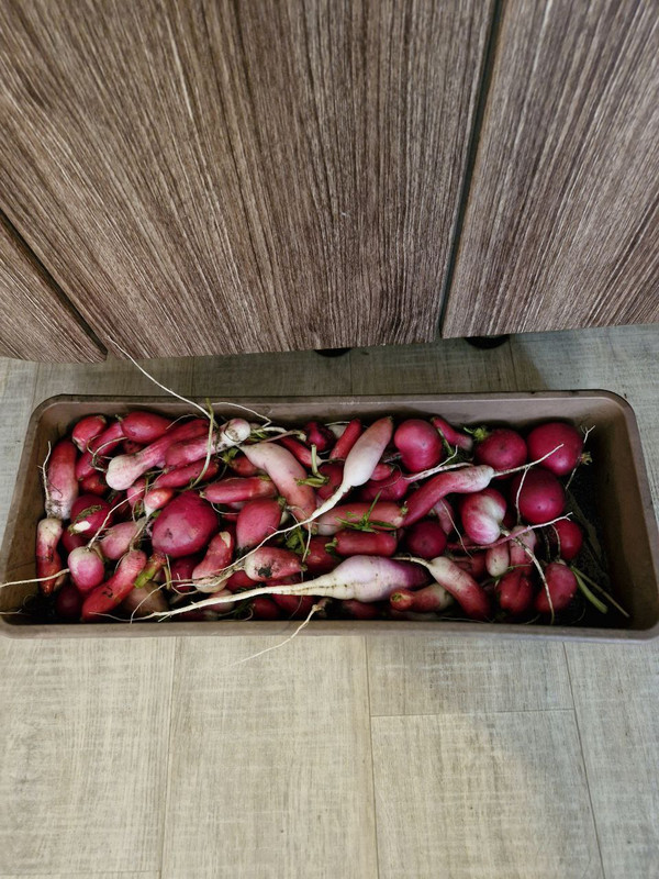 IMG 20240723 085638 600 — Postimages