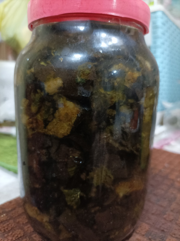 IMG 20231105 170713 — Postimages