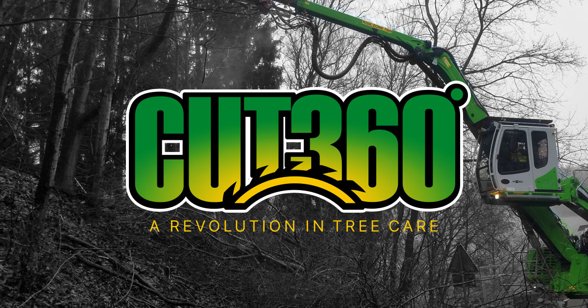 Tree Removal Experts