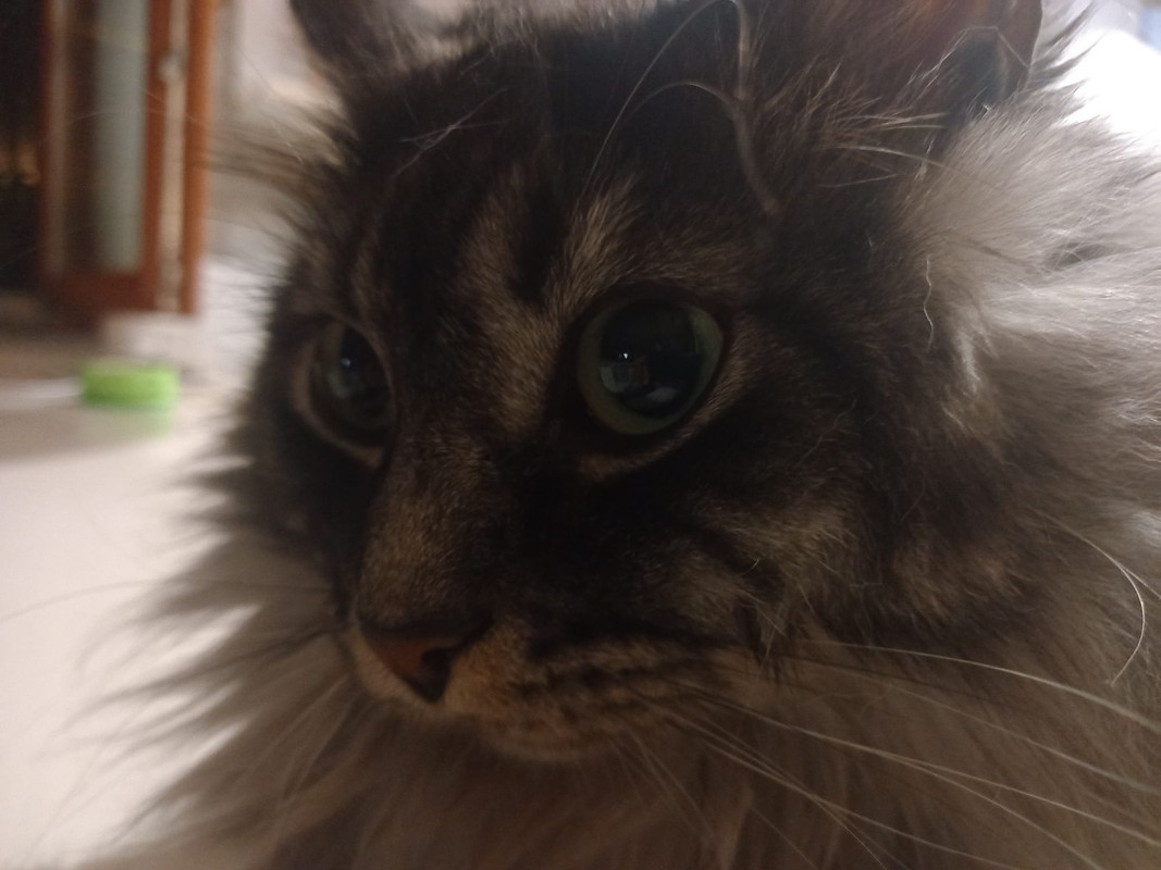 IMG 20220716 WA0001 — Postimages