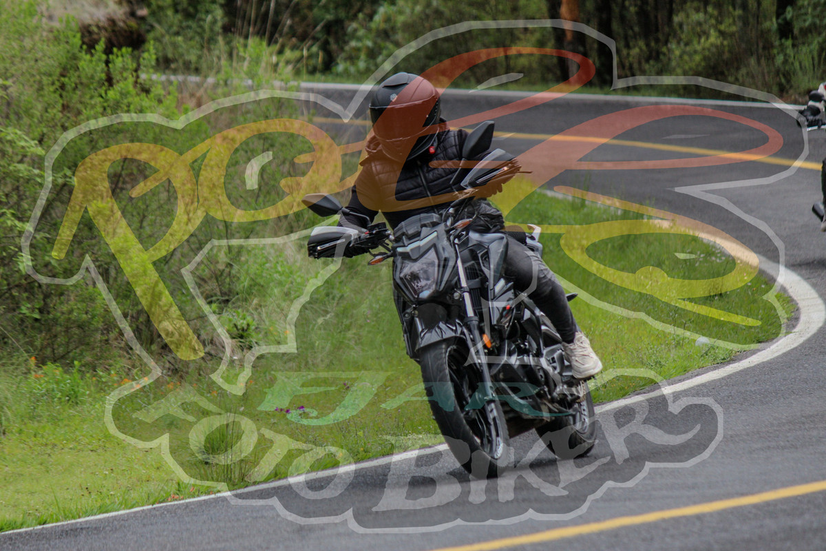 IMG 3261 — Postimages