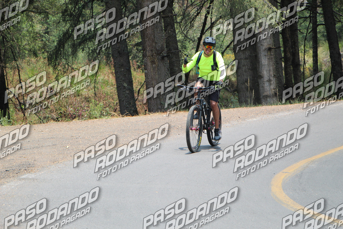 IMG 1196 wm 7257423 2 watermarked — Postimages