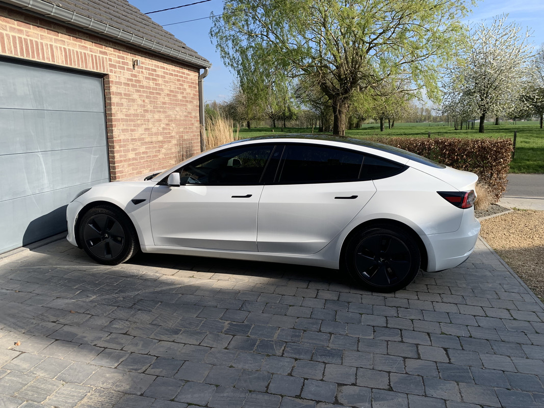 F2 B4 A3 D9 8 B36 42 DB B8 EA 68131 B0 B1 A8 E — Postimages