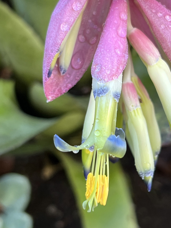 IMG 1449 — Postimages