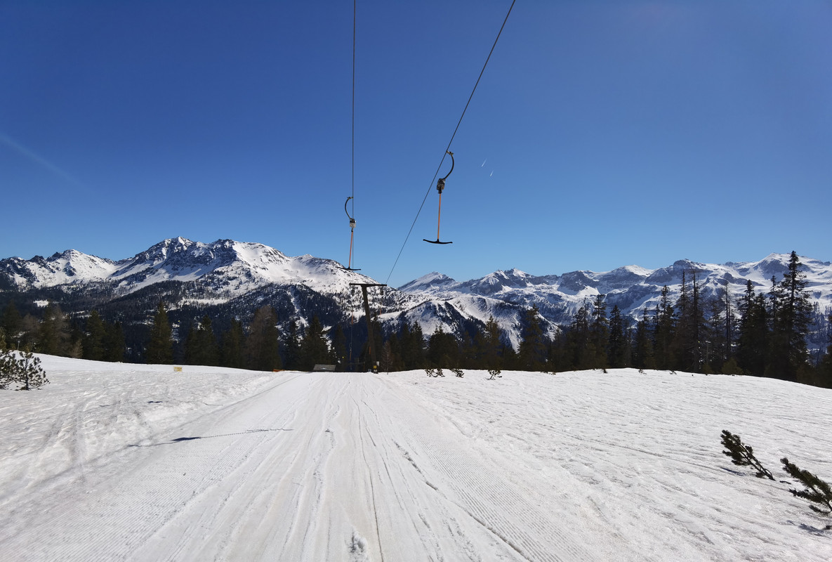 IMG 20220322 121205 Kopie Kopie — Postimages