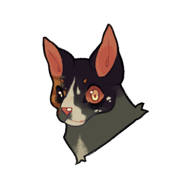 Looking For Icon Comms Lioden