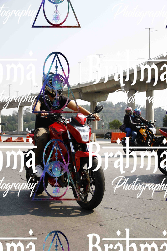 MG 0338 — Postimages