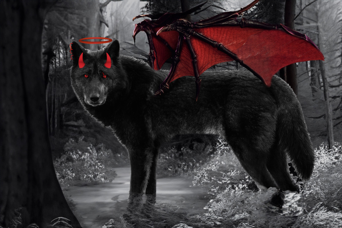 43242 E3 F 69 Ad 42 B5 A4 Ee 2 E76 C6 Cd711 F — Postimages