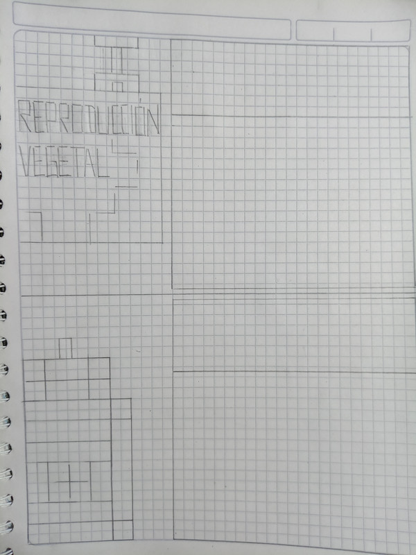 Minecraft Chest Graphic Organizer