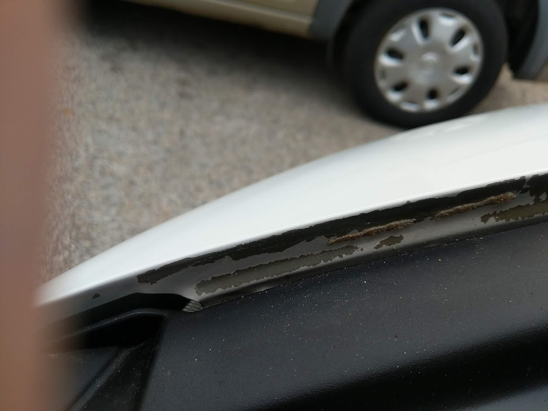 Delaminating paint. | Honda Accord Forums - The DriveAccord community ...