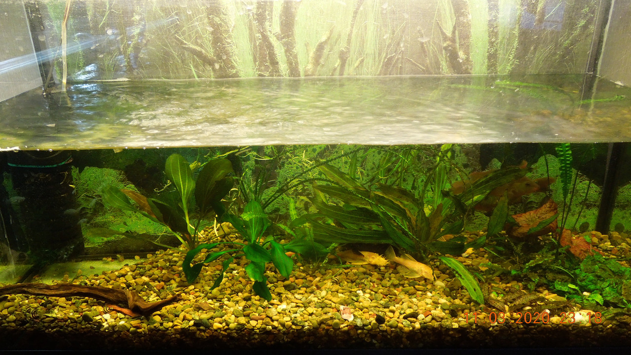 DSCN9374 — Postimages